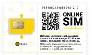 simka.kz - Интернет магизин -сотовые операторы activ beeline tele2 altel